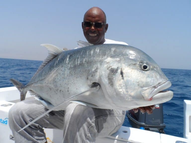 Galerie - Fans de carangues